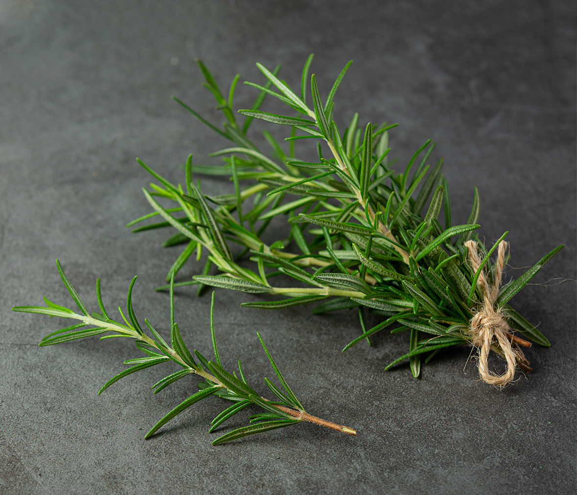 Karnozol, norursa i noroleana - niezwykłe przeciwnowotworowe i ...